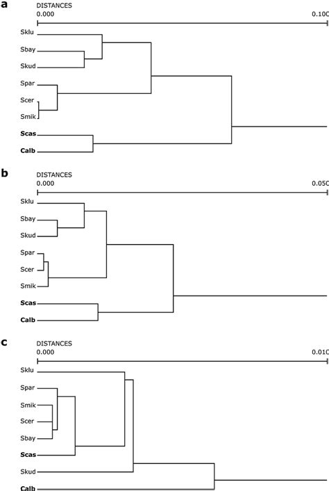 Euclidean Distance Average Linkage Cluster Analysis By Nucleotide