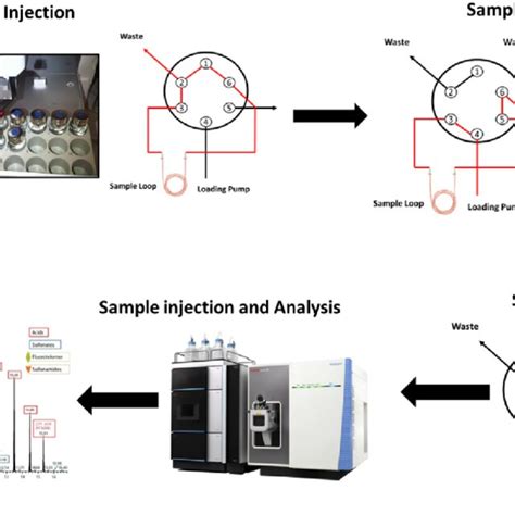 Sample Workflow For Suspect Screening Analysis Ssa And Non Targeted