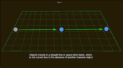 So Did Isaac Newton Really Discover Gravity