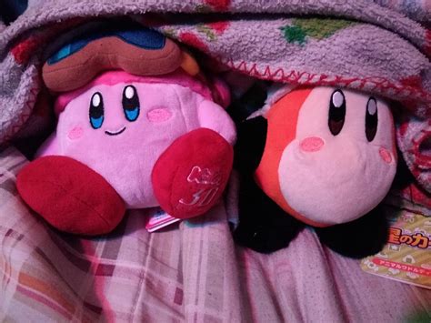 Pilot Kirby Is Scared Of Thunderstorms But Luckily He Has Blankets And