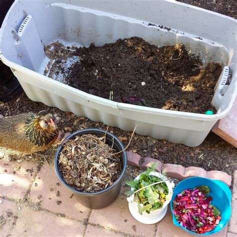 Simple Worm Composting Bin 25 Best Easy Diy Compost Bin Ideas And Plans