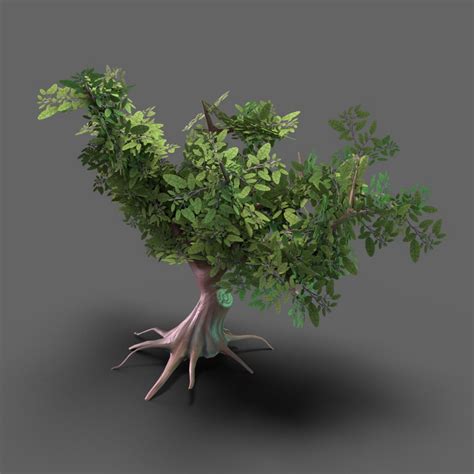 Tree Model TurboSquid 1408332 Tree Model TurboSquid 1408332