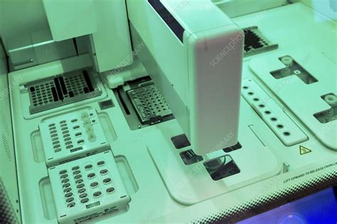 DNA Genotyping And Sequencing Stock Image C038 6481 Science Photo Library