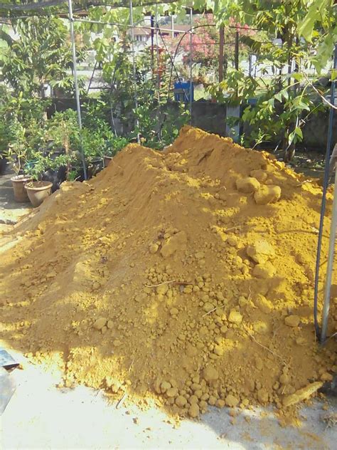 Is Clay Soil Acidic 7 Tips To Make It More Acidic