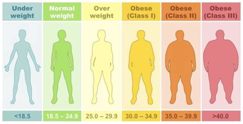 Bone Mass Calculator