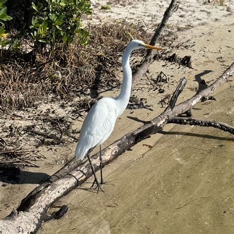 Bennie Thomas Lafferty