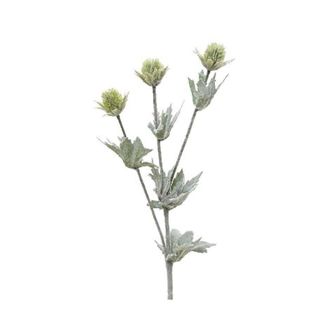 Shop Kaemingk Eryngium Spray With Frosted Leaves Online In Lebanon