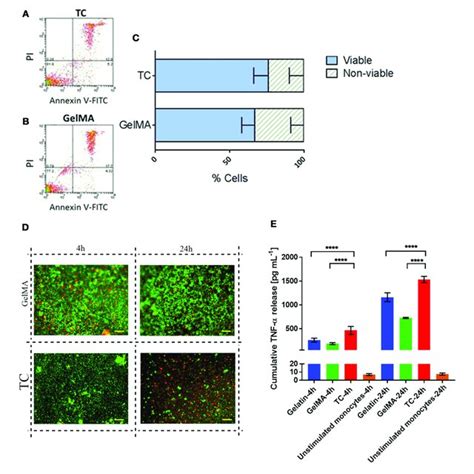Lps Induced Tnf α Gene Expression Is Down Regulated In Pbmcs Cultured Download Scientific