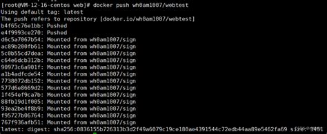 Web和pwn题的简单动态flag实现gzctf Csdn博客