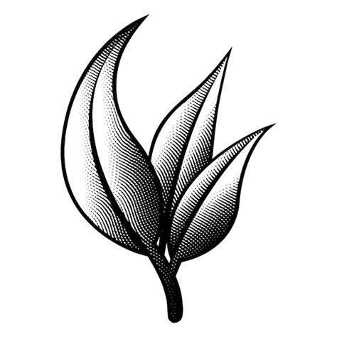 Premium Vector Scratchboard Engraved Branch Of Leaves