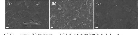 Figure 1 From Reagentless Amperometric Pyruvate Biosensor Based On A Prussian Blue And Enzyme