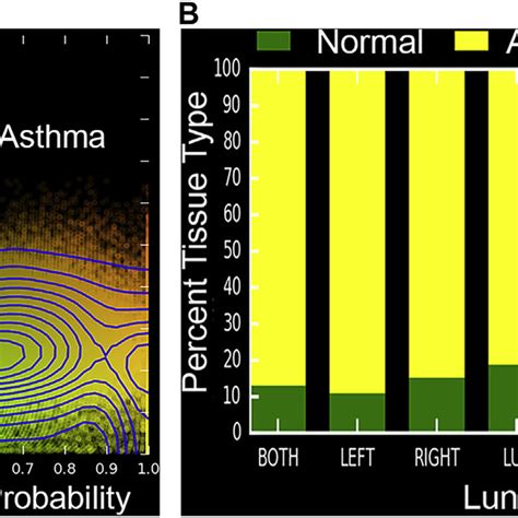 Mdct Chest Image Matching Parametric Response Mapping 22 And Disease