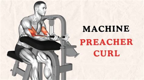 Machine Preacher Curl How To Do And Muscles Worked