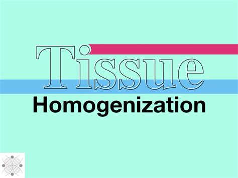 Tissue Homogenization Techniques For Rna Extraction Genetic Education