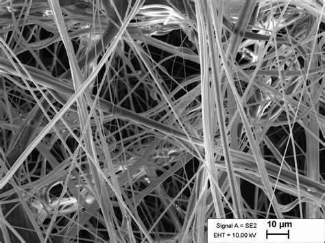 Nanofibrous Scaffolds Sem Gallery Kdbio Productivity Tools For Life Science Labs