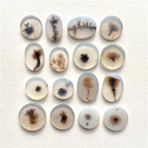 10 15mm Scenic Dendritic Agate Cabochon Smooth Choose Your Stone C