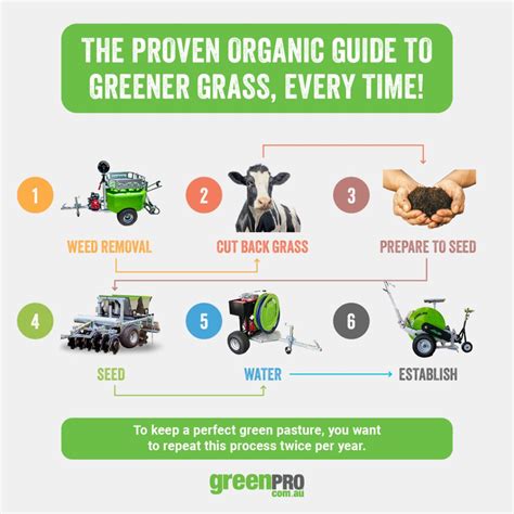 The Proven Organic Guide To Greener Grass Every Time Greenpro