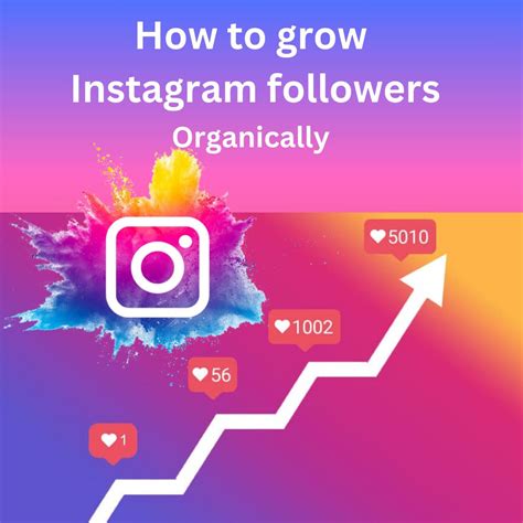 Instagramfollowers Instagramfollower Instagramfollowerspasif Instagramfollowerspasifnodrop