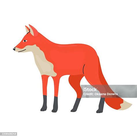 빨간 여우 아이콘 클립 아트 아바타 로고 유형 고립 된 일러스트 가을에 대한 스톡 벡터 아트 및 기타 이미지 가을 개 개과 Istock