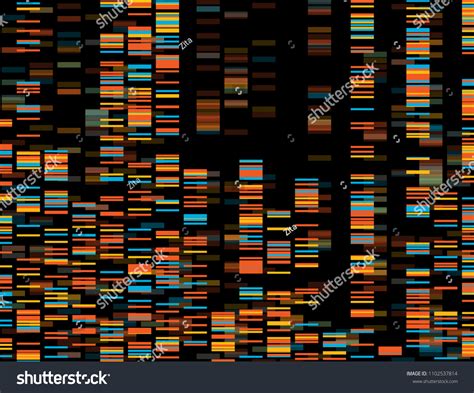 Big Genomic Data Visualization Dna Test Stock Vector Royalty Free