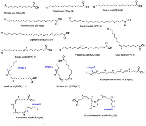 Capric Acid Structure