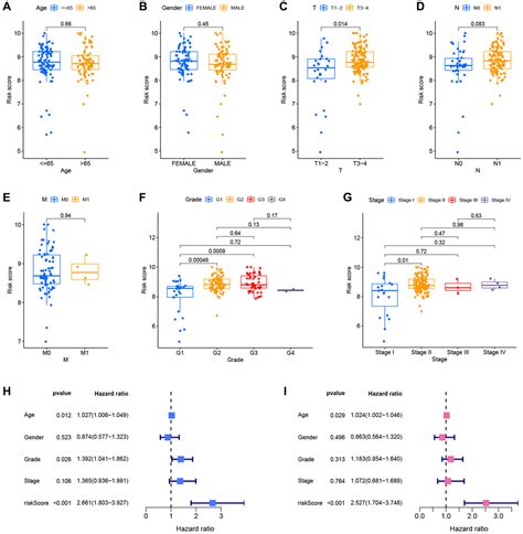 Integrated Single Cell And Bulk RNA Sequencing Revealed The Molecular Characteristics And