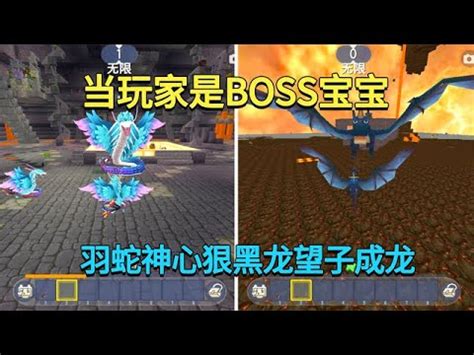 Boss Youtube