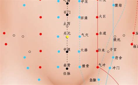 关元穴位的准确位置图 穴位图 中医 99健康网