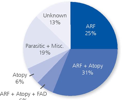 Figure 1 From Multimodal Management Of Feline Allergic Dermatitis Bad Mood Semantic Scholar