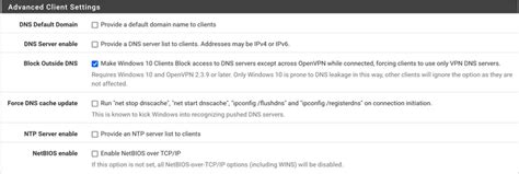 Lan Dns Server Hostname Access For Openvpn Client Netgate Forum