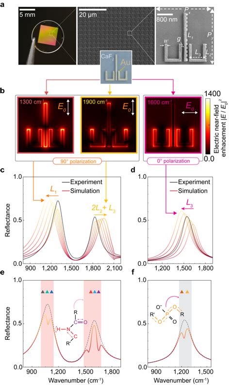 Polarization Multiplexed Multi Resonant Broadband Plasmonic Download Scientific Diagram