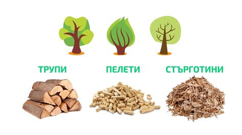 Енергия от биомаса Youtube