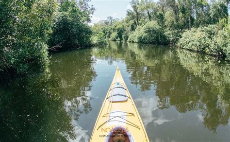 10 Good Reasons To Visit Noosa Unesco Biosphere Reserve