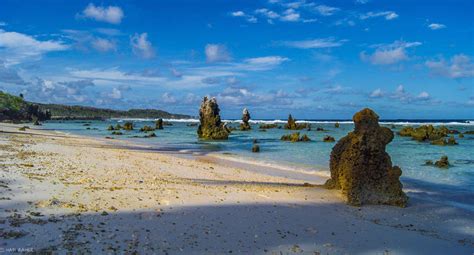 1300 Coral Reef Wallpapers