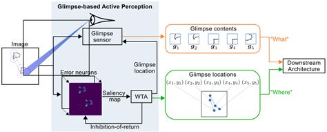 [논문 리뷰] Mind The Gap Glimpse Based Active Perception Improves Generalization And Sample