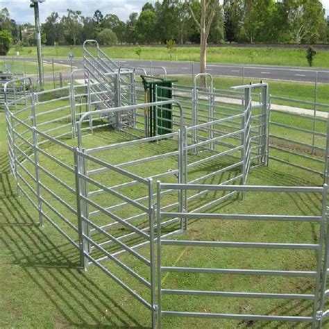 Galvanized 6rails Sheepgoat Cattlecowhorse Panels Paddock Fence