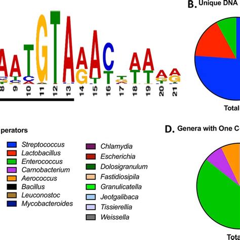 Copy Cop Operon Operator Consensus Sequences In The Genomic Dna A Download Scientific