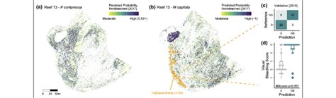 Ecosystem Scale Phenotype Mapping And In Situ Validation A P Download Scientific Diagram