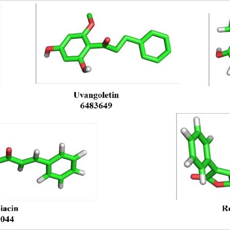 Molecular Visualization Of Ligand Structure Download Scientific Diagram