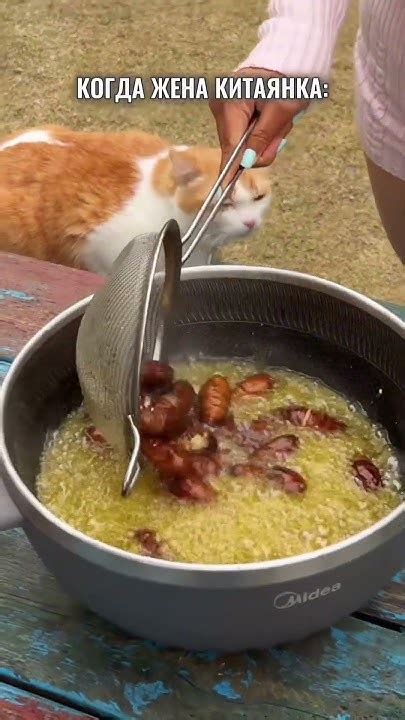 Личинки На Ужин 😅 🐛🐛🐛 Youtube