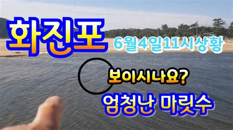 화진포해변 엄청난 Xx들이 투망화진포화진포해변화진포해수욕장바다투망고성가볼만한곳투망의달인 Youtube