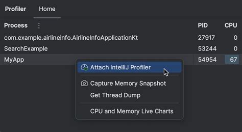Create And Open Snapshots Intellij Idea Documentation