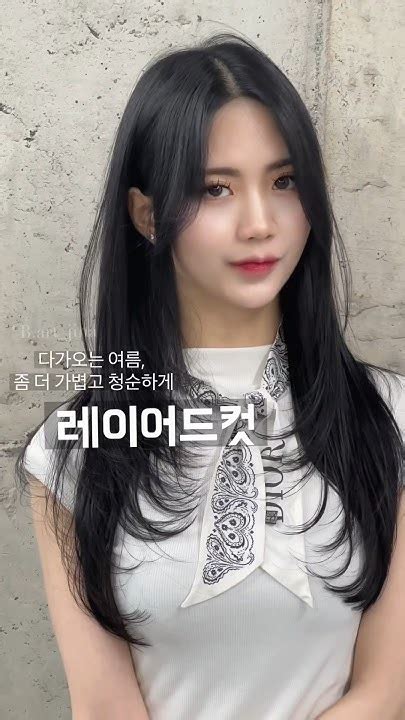 요즘 제일 핫한 디자인 하이레이어드컷 허쉬컷 레이어드컷 대구미용실 삼덕동미용실 C컬펌 미용꿀팁 Hair Hairstyle 헤어컨설팅 동성로미용실