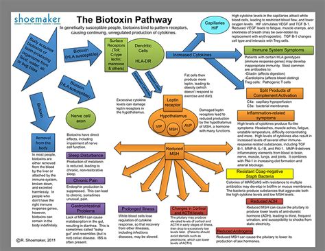 Biotoxin Pathway Cirs Connected