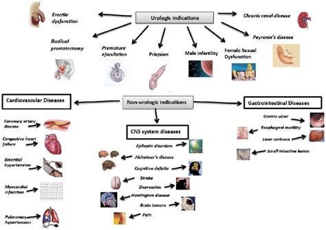 Pde5 Inhibitors Implicating Urologic And Non Urological Indications