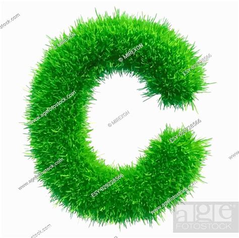 Vector Small Grass Letter C On White Background Stock Vector Vector And Low Budget Royalty