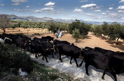 Hidden Europe Diego Vivanco