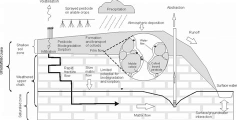 Schematic Representation Of Diffuse Source Colloid Facilitated Download Scientific Diagram