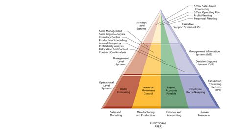 [solved] 1 Describe The Role Of A Tps Mis Dss And Eis In A Service