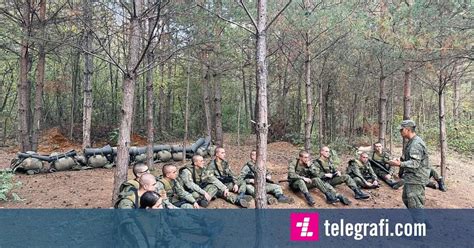 Kadetët E Fsk Së Sfidohen Në Stërvitjen “putra E Ujkut” Telegrafi